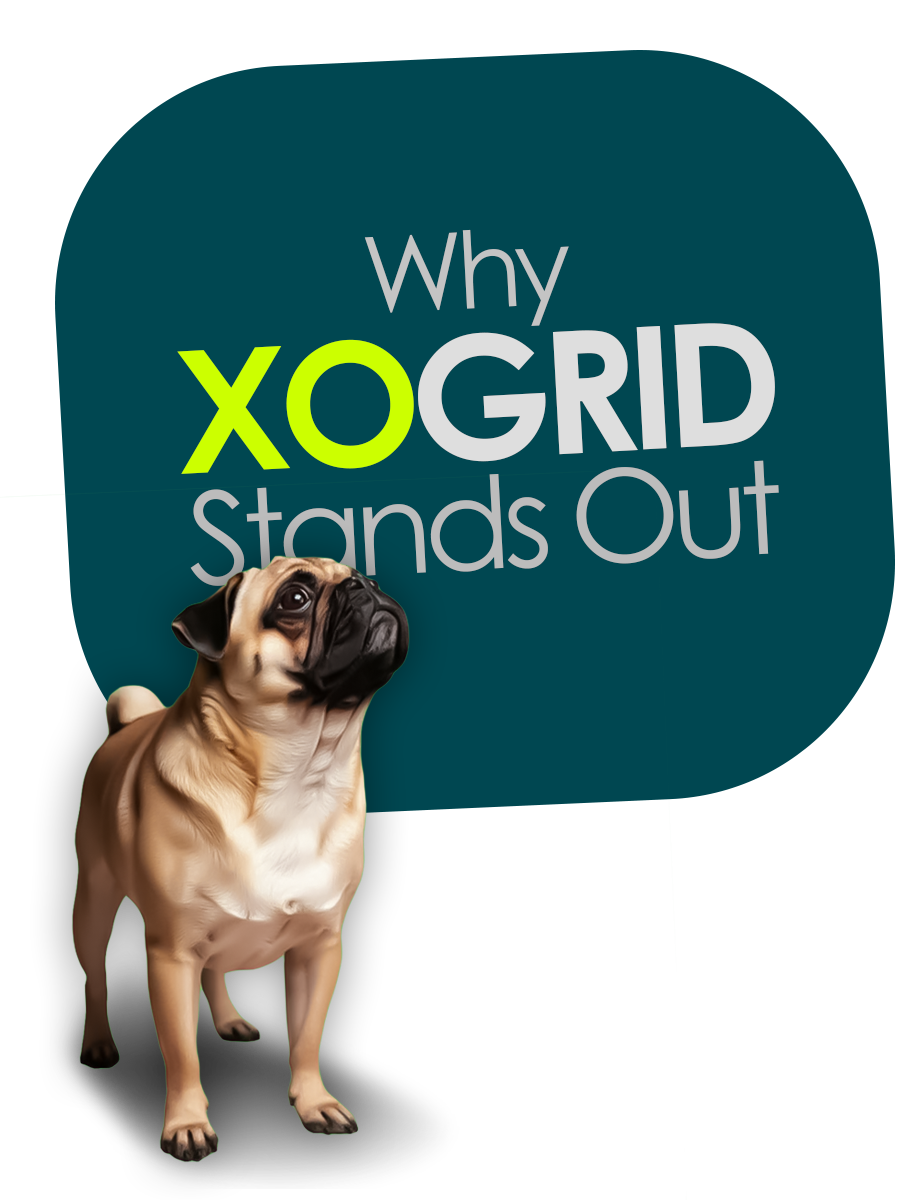 XOGRID Coworking Space